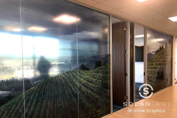 Window Graphics | San Jose, California | Commercial Window Tinting