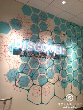 Vinyl Wall Graphics | San Diego, California | Commercial Window Tinting